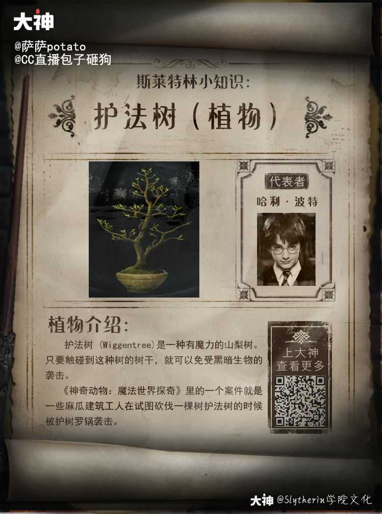 斯莱特林文化专栏草药课介绍与作用（十二）瞌睡豆 (Sopop_哈利波特魔法觉醒 | 大神