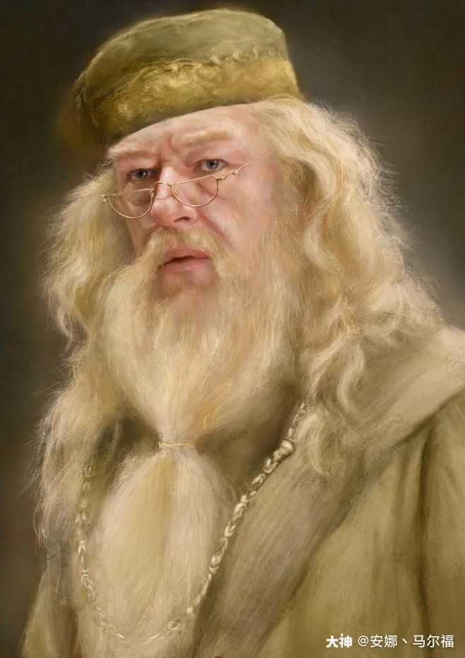 邓布利多：要挺身而出对抗敌人的确需要很大的勇气_哈利波特魔法觉醒 | 大神