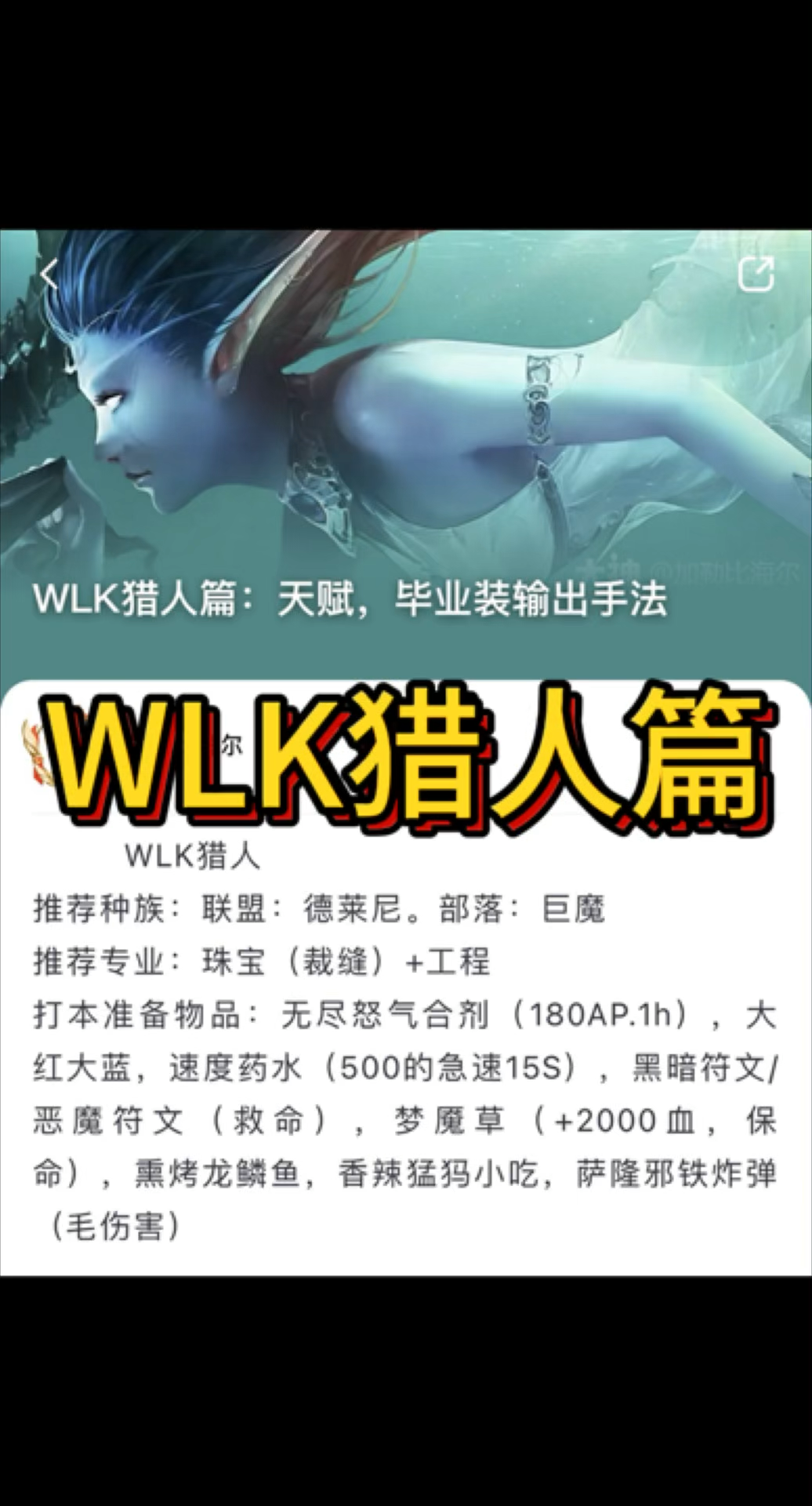 WLK猎人篇：天赋，毕业装，输出手法，宏！巫妖王之怒_魔兽世界 | 大神