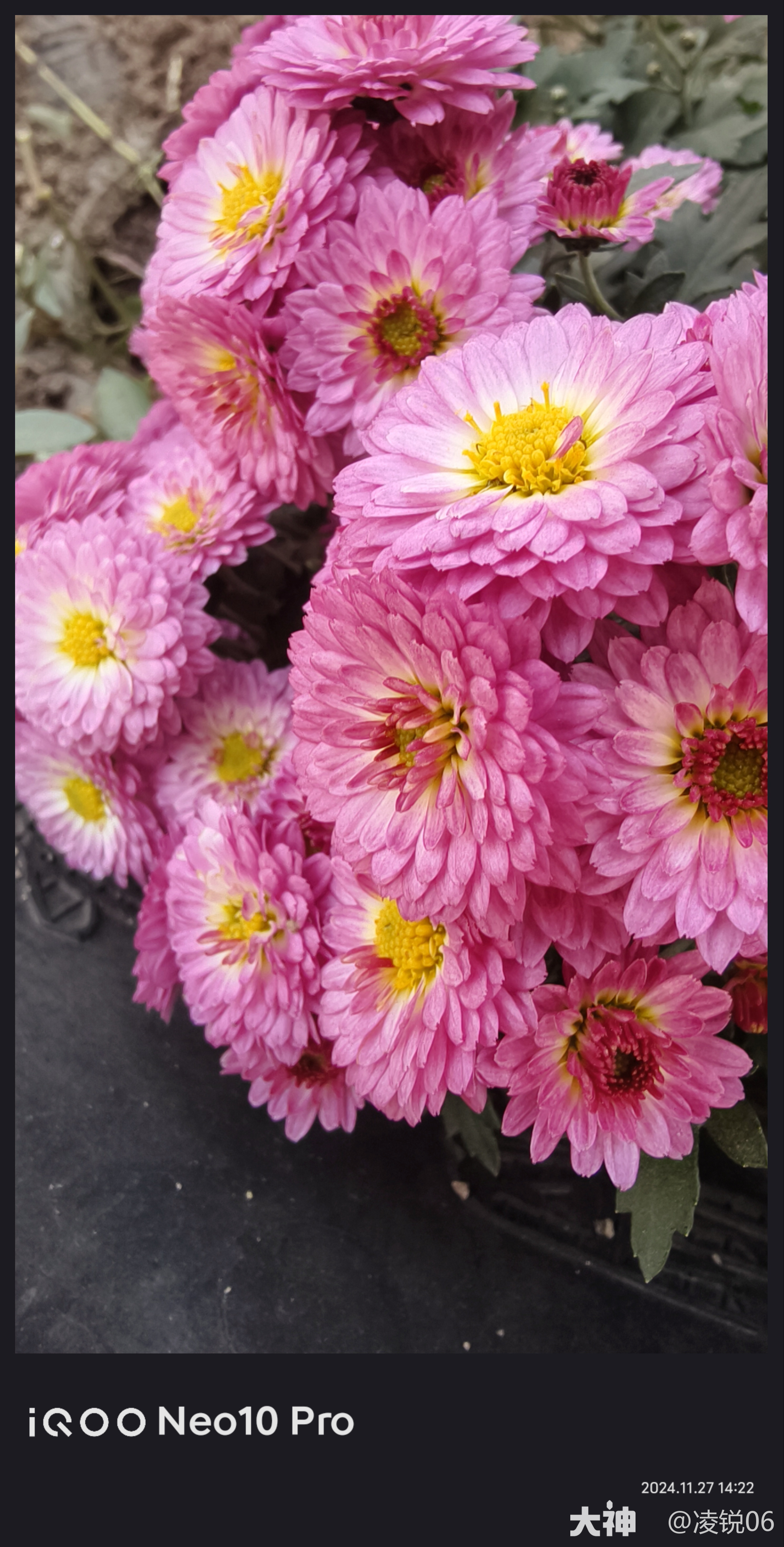 iQOO Neo10 Pro：一场激动人心的初体验（偏影像方向）_永劫无间手游 | 大神