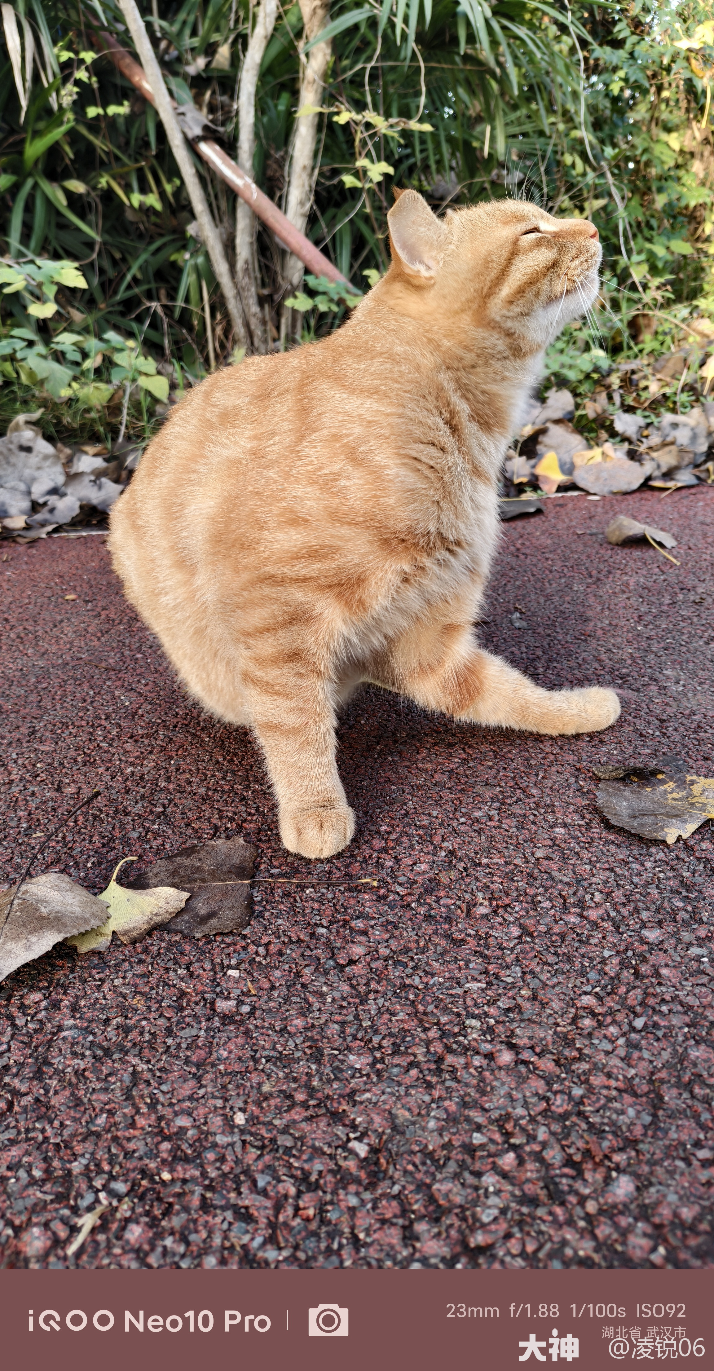 iQOO Neo10 Pro：一场激动人心的初体验（偏影像方向）_永劫无间手游 | 大神