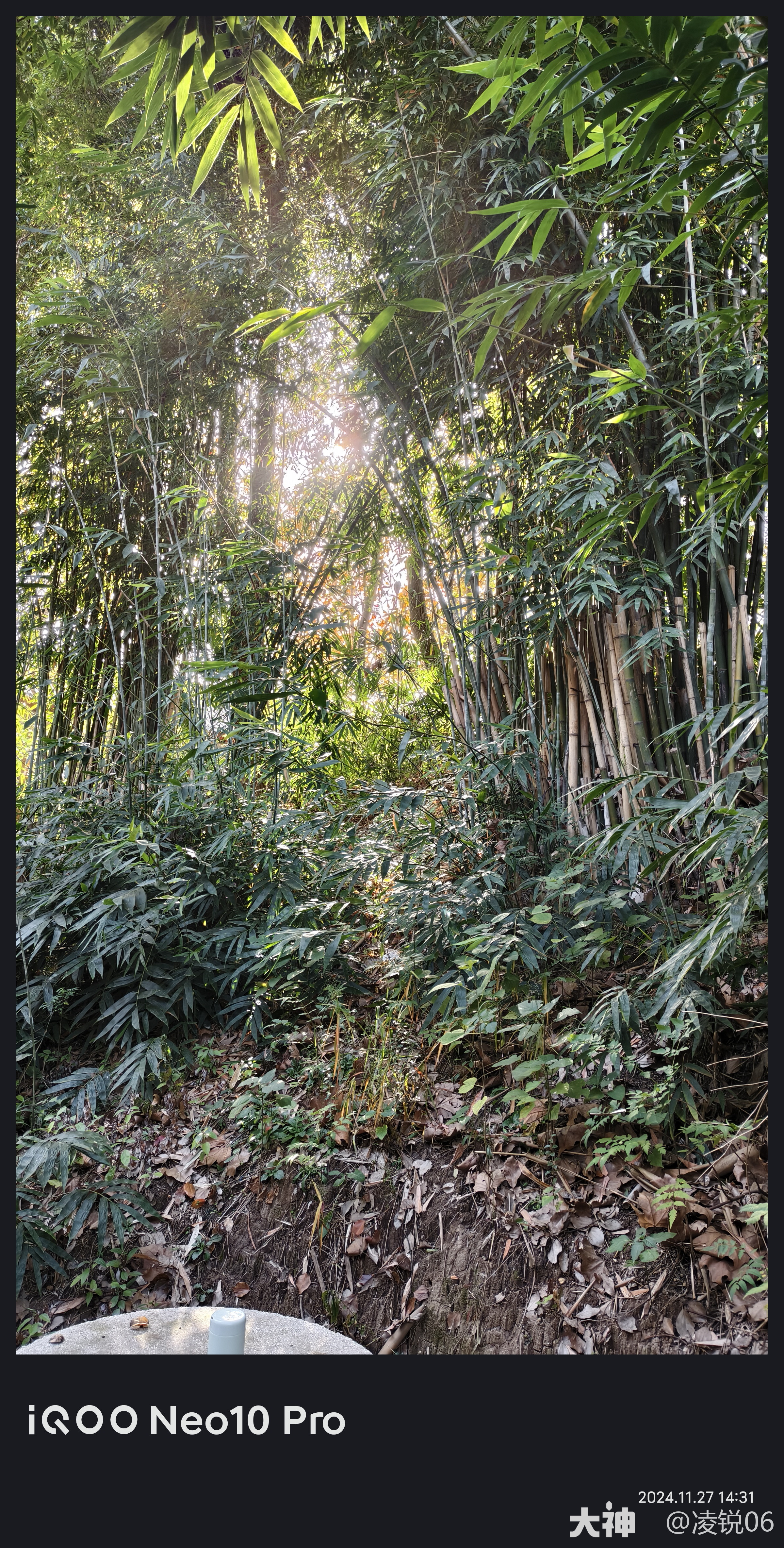 iQOO Neo10 Pro：一场激动人心的初体验（偏影像方向）_永劫无间手游 | 大神