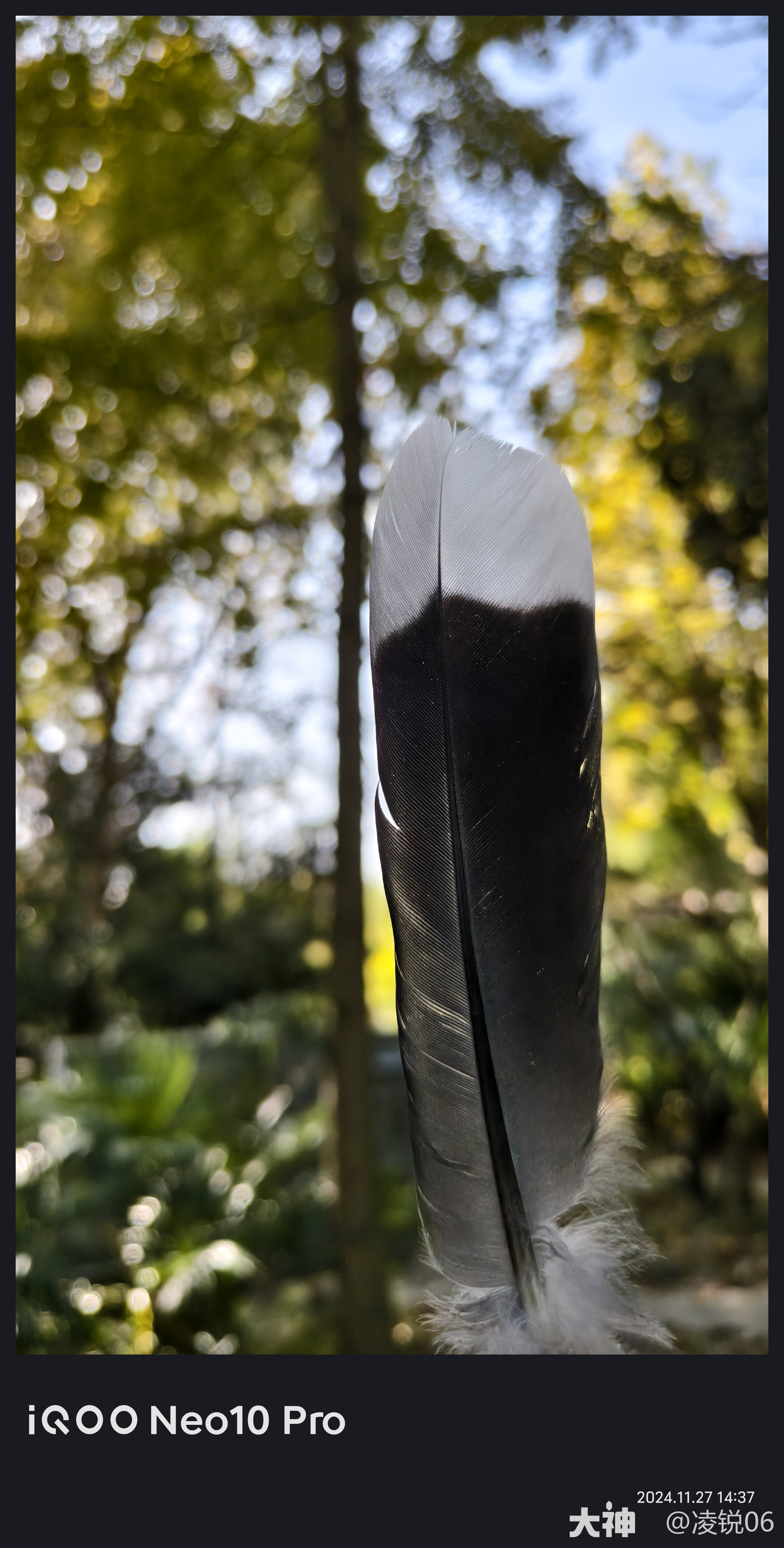 iQOO Neo10 Pro：一场激动人心的初体验（偏影像方向）_永劫无间手游 | 大神
