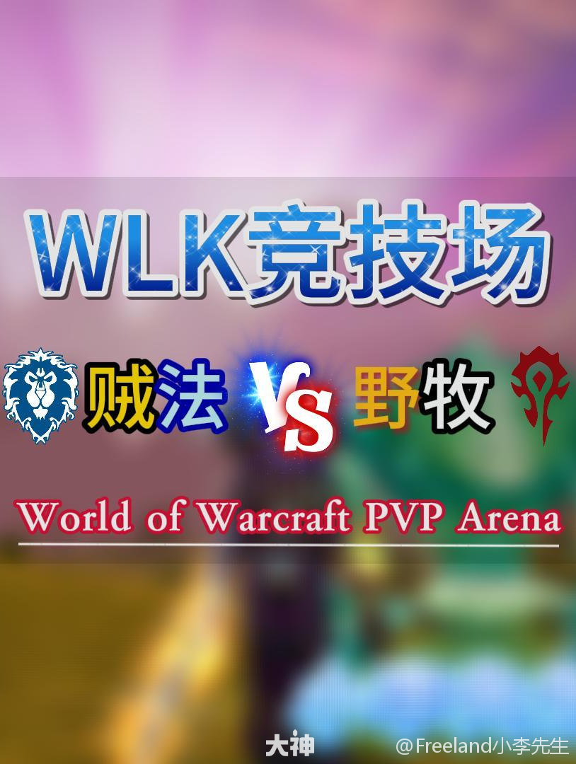 WLK竞技场贼法VS野牧_魔兽世界 | 大神