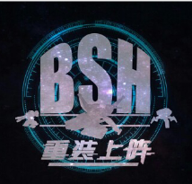 BSH战队_大神BSH战队