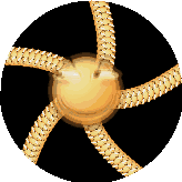 韩国小姐姐이지Leezy的一曲《super secret》献_大神