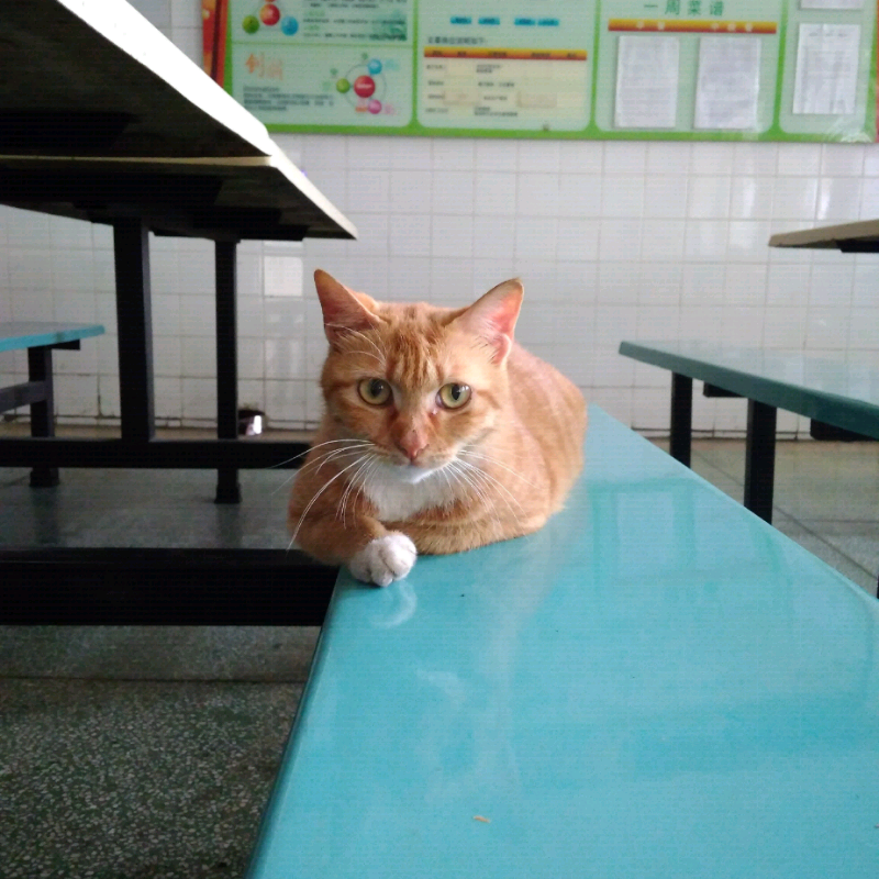 ddddssss的个人空间_大神