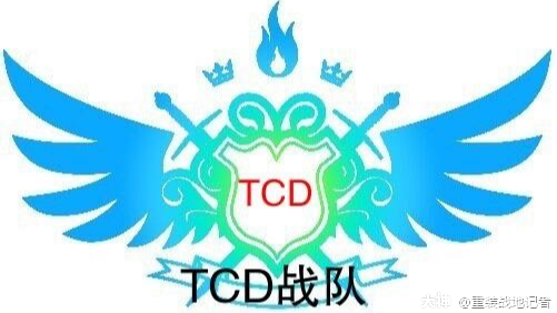 重装上阵 --- TCD战队_大神
