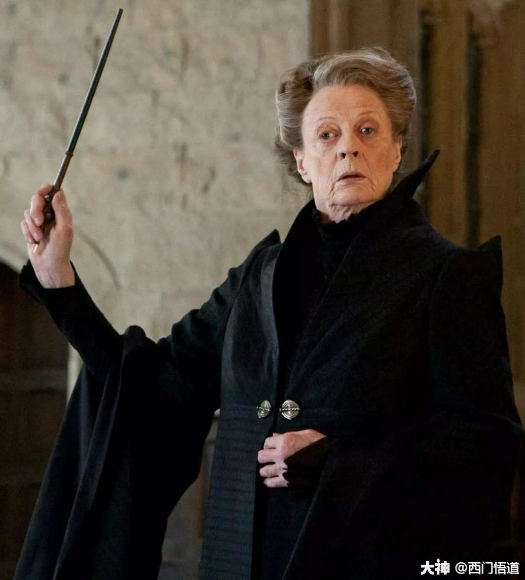 盘点】哈利波特中的四位美女_哈利波特魔法觉醒 | 大神