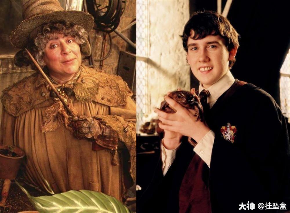 波莫娜斯普劳特_哈利波特魔法觉醒 | 大神