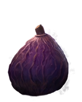 草药学引导_哈利波特魔法觉醒 | 大神