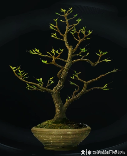 草药学引导_哈利波特魔法觉醒 | 大神