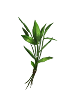 草药学引导_哈利波特魔法觉醒 | 大神