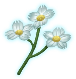 草药学引导_哈利波特魔法觉醒 | 大神