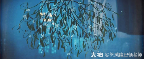 草药学引导_哈利波特魔法觉醒 | 大神