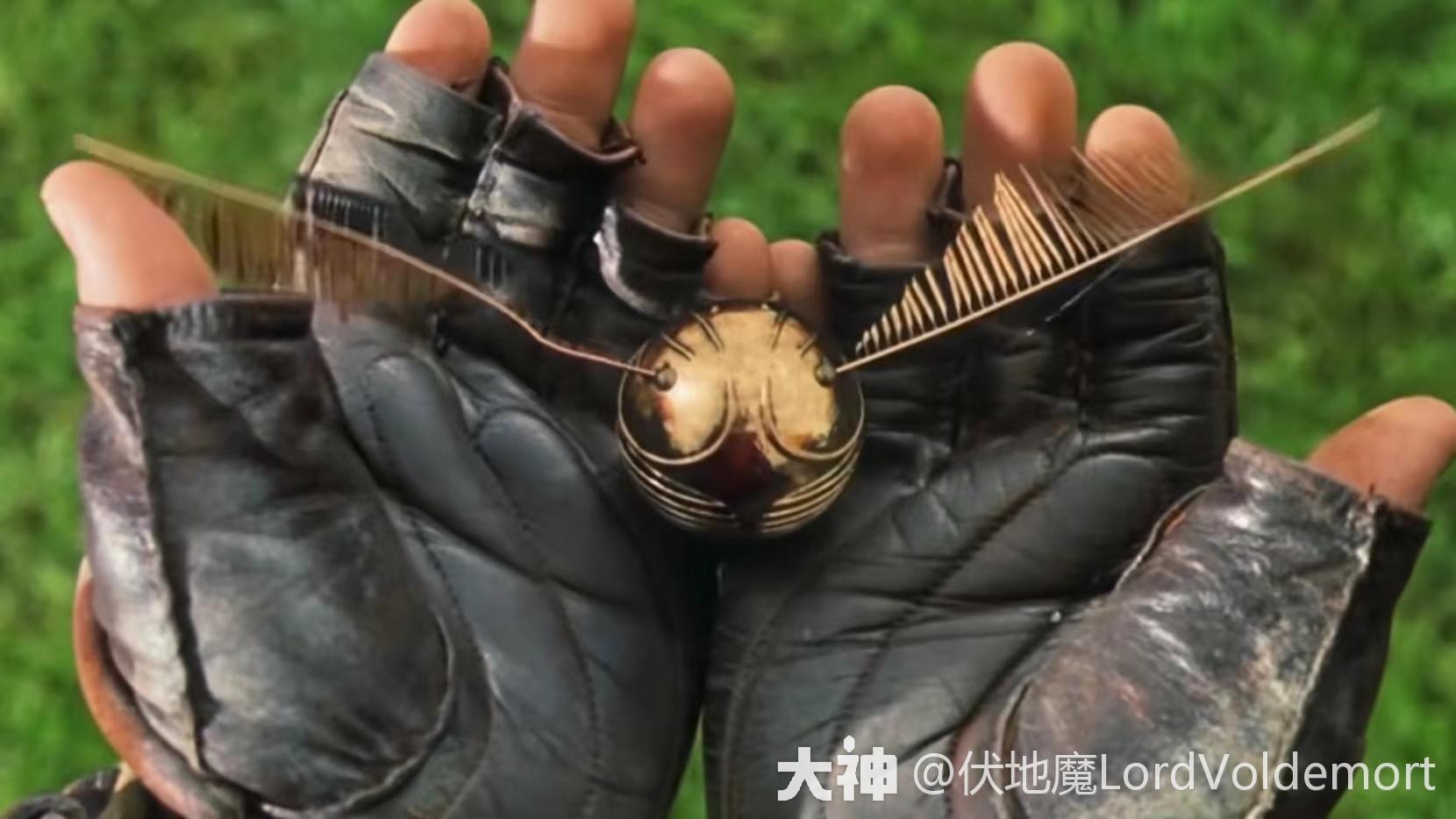 哈利波特：金色飞贼有何特性？为何抓住它能获得额外150分奖励？_哈利波特魔法觉醒 | 大神