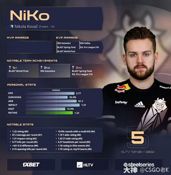 风霜无摧宝剑锋！2022职业选手排名TOP5：NIKO_CSGO | 大神