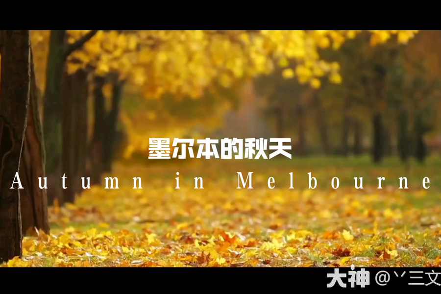 墨尔本的秋天》乐师曲谱(吉他独奏)分享 天谕手游 大神