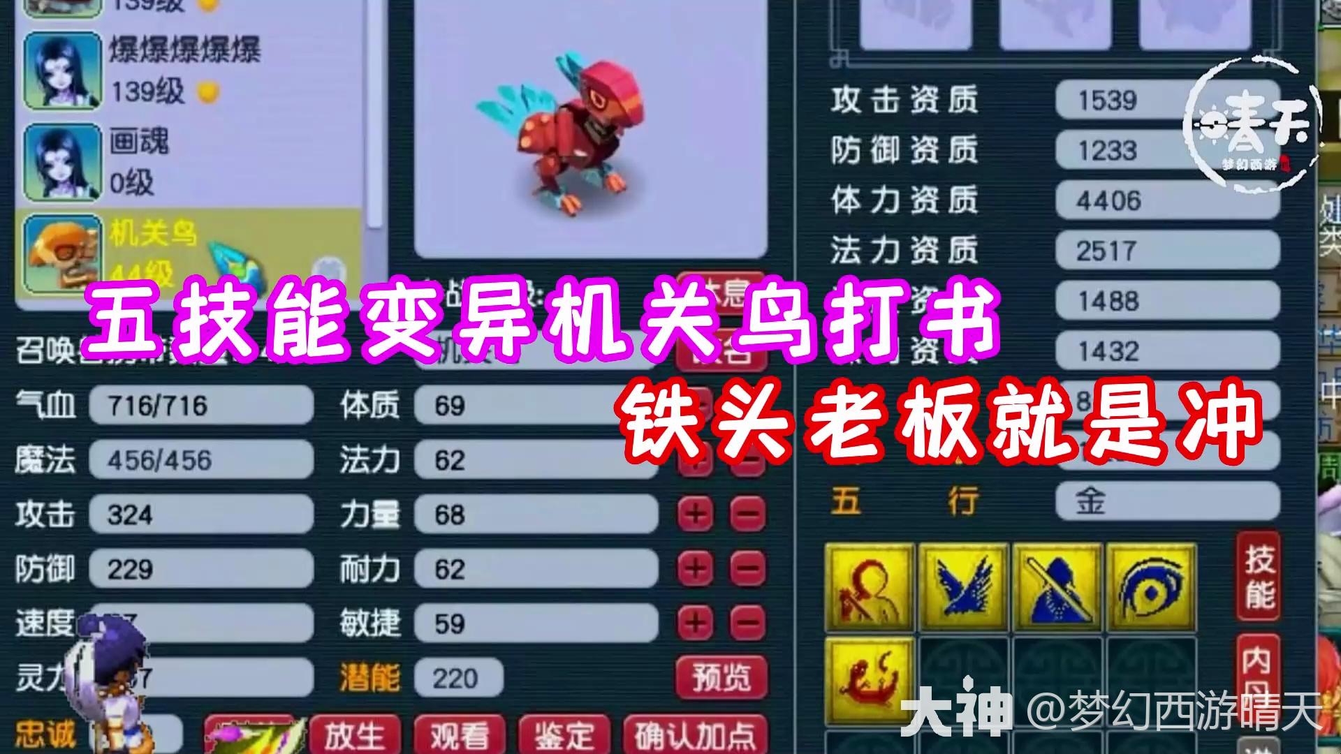 五技能变异机关鸟打书梦幻西游 大神